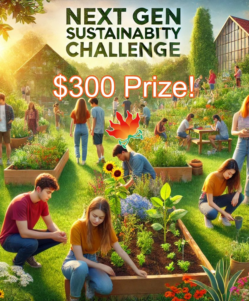 Next Gen Sustainability Challenge | My Dragonfly Gardens